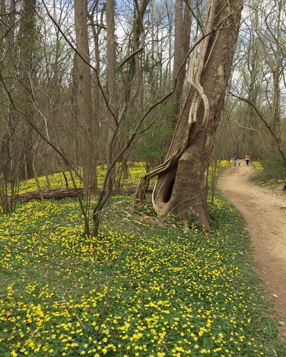 The Best Running Trails & Jogging Routes in DC | Washington DC