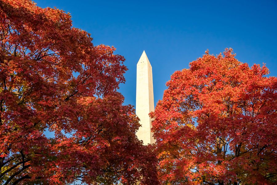 Best Places to Photograph Fall Foliage in DC | Washington DC