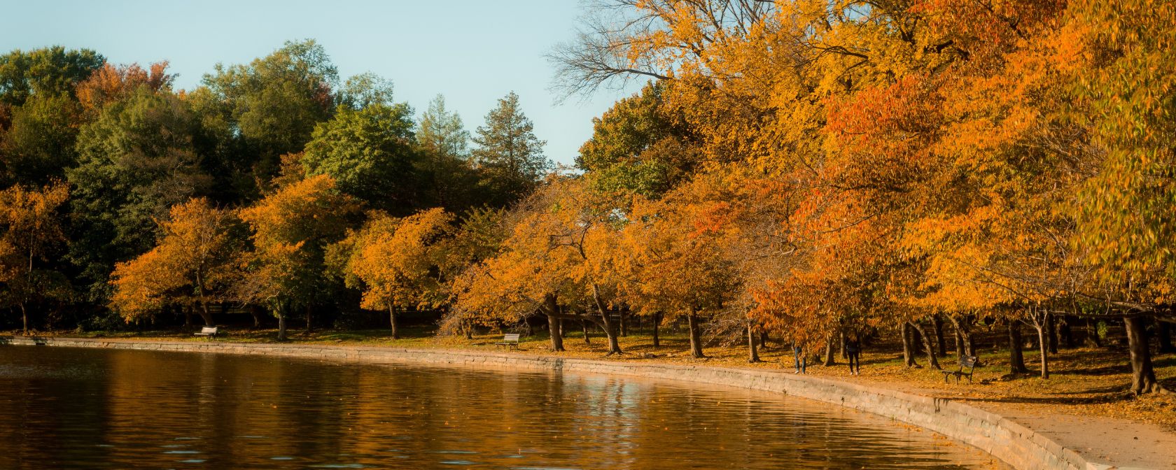 Best Places to Photograph Fall Foliage in DC | Washington DC