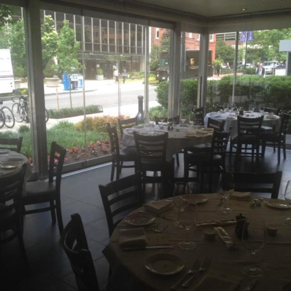 The Palm | Washington DC