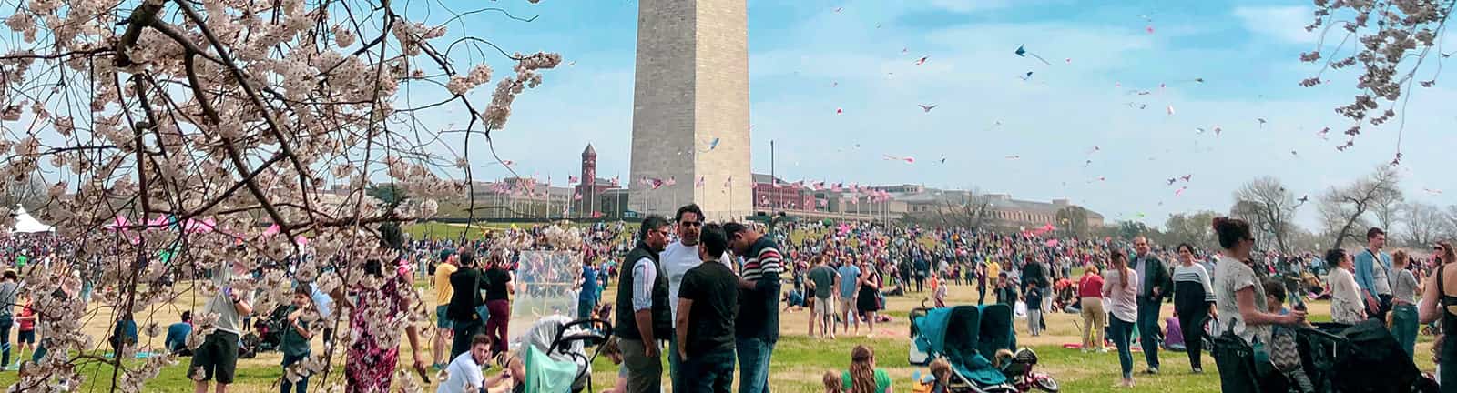National Mall Events Calendar | Events at Museums, Memorials & More