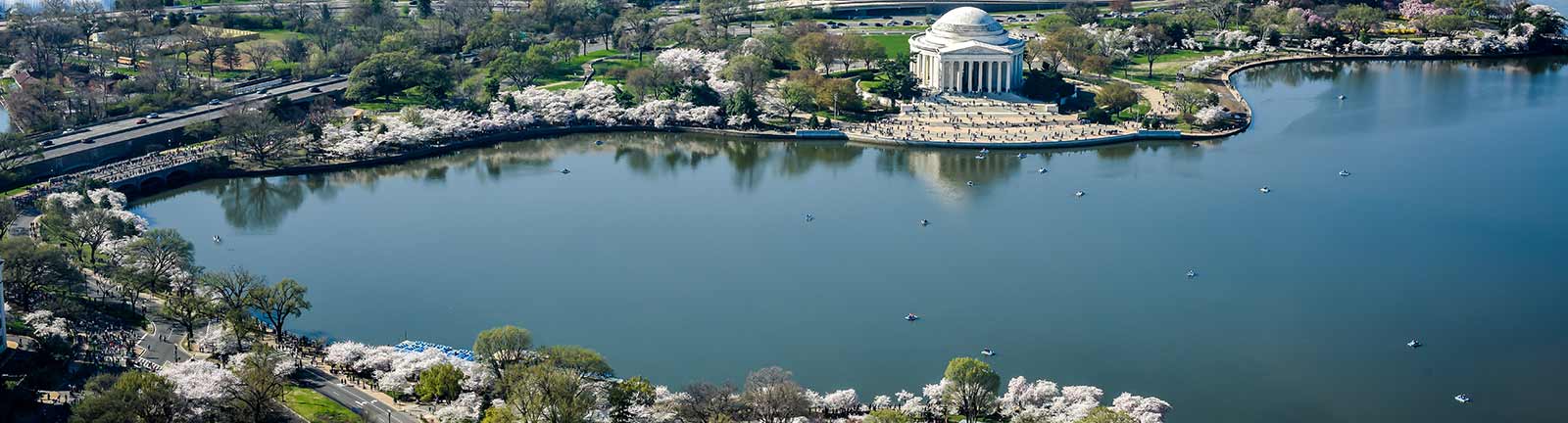 Washington, DC Sustainability & Eco-Friendly Guide | Washington DC